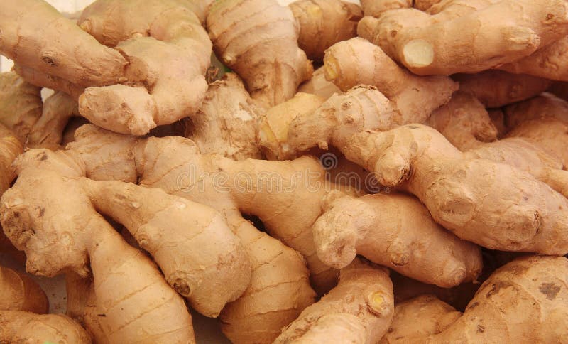 Group Yellow of Ginger Roots Stock Image - Image of closeup, medicine ...