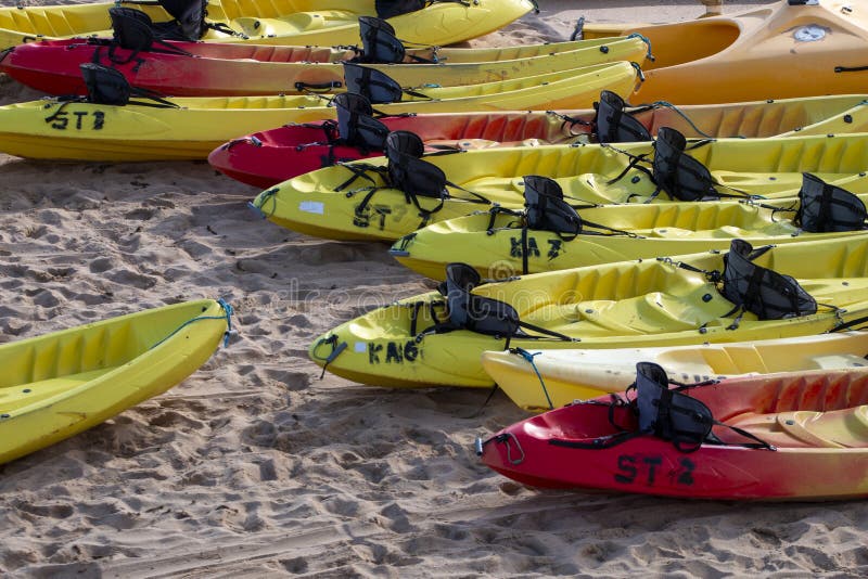 Group of yellow kayaks stock image. Image of summer - 237802947