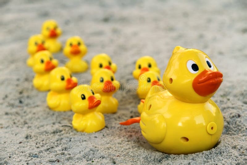 Group of Yellow Plastic Ducks Stock Photo - Image of kids, plastic ...