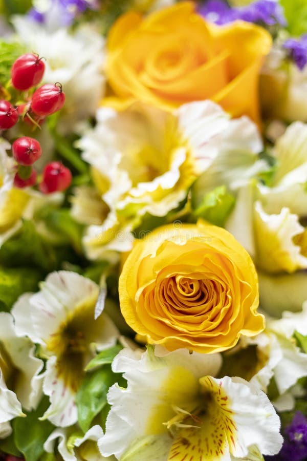 Inside a Flower. Stamens of Pink Poppy. Macro Stock Photo - Image of ...