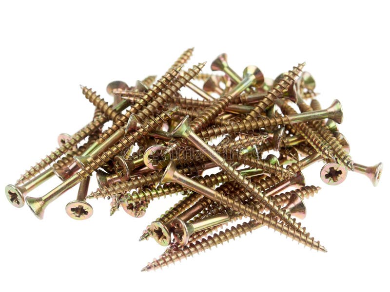 Wood Screws Isolated on White Stock Image - Image of group, metal ...