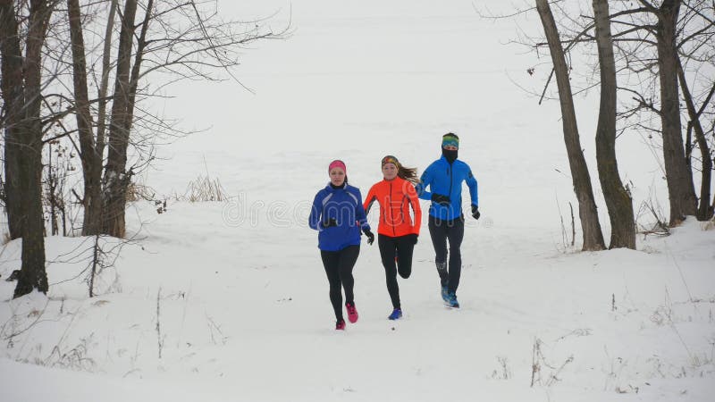 Group of Athletes Running on Winter Alley Editorial Photography - Image ...