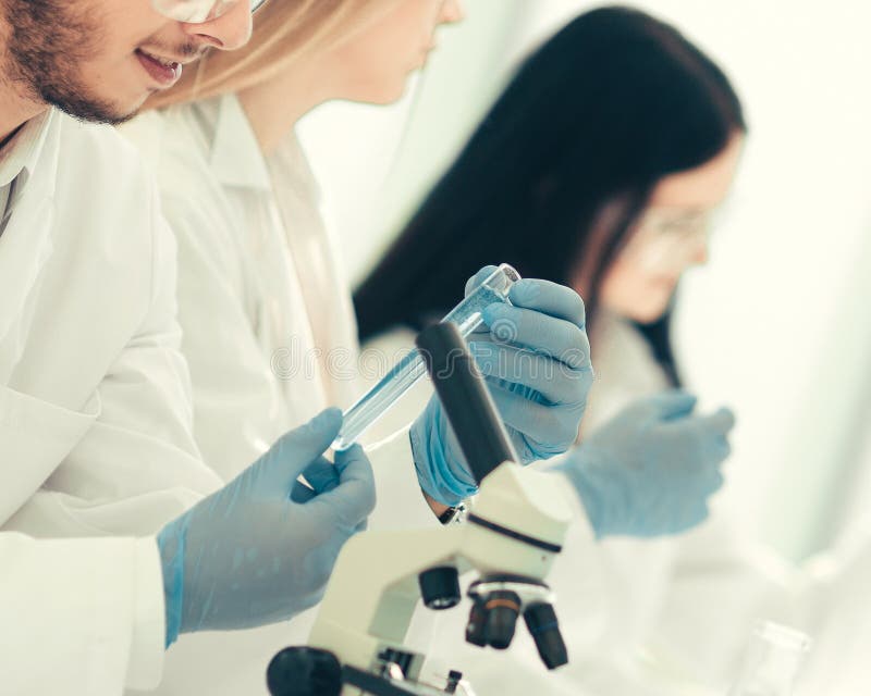 Group of Young Biologists Sitting at the Laboratory Table Stock Photo ...