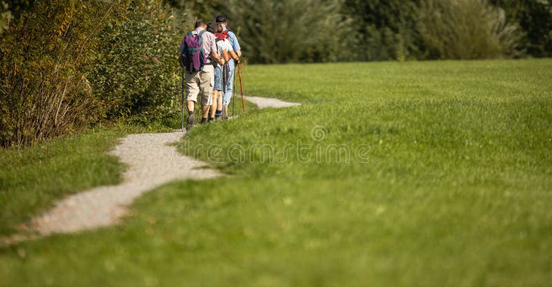 Group of Young Hikers Walk in a Row Along the Road Stock Photo - Image ...