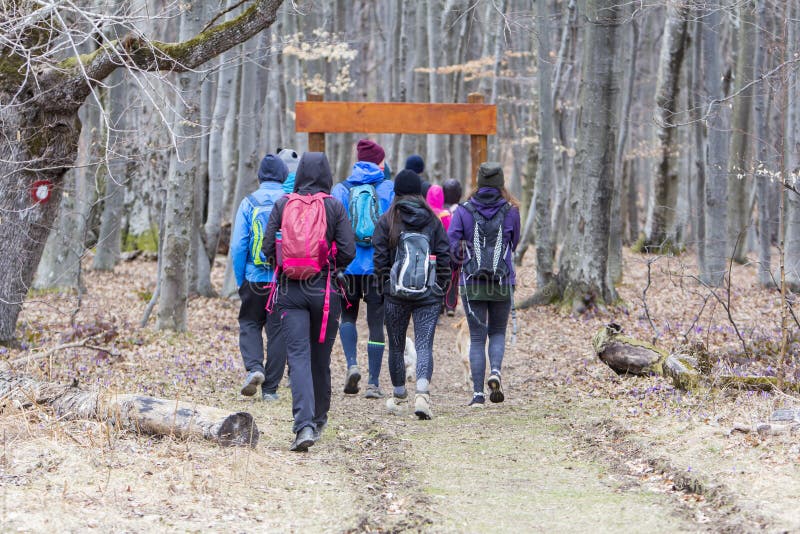 Group of Young Hikers Walking Stock Photo - Image of activity, hikers ...