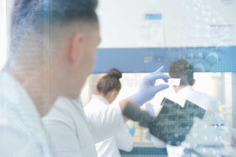 Group of Young Laboratory Scientists Working at Lab with Test Tu Stock ...