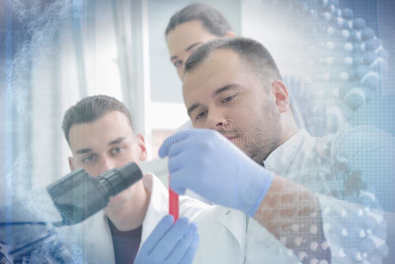 Two Young Laboratory Scientists Working at Lab with Test Tubes and ...
