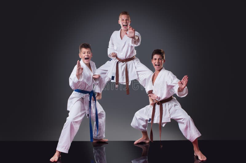 Portrait of Handsome Young Male Karate Player Posing on the Gray ...
