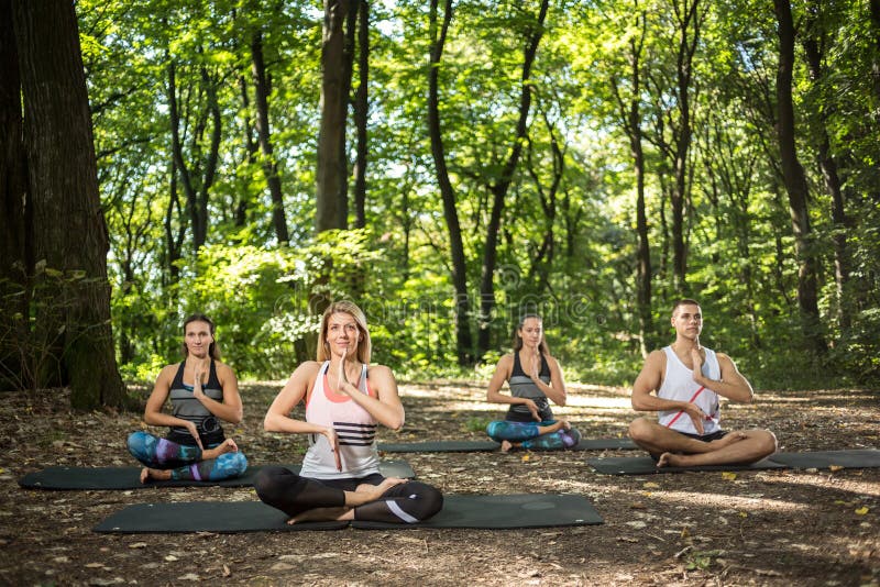 Group of Young People Doing Yoga in Green Forest Stock Image - Image of ...