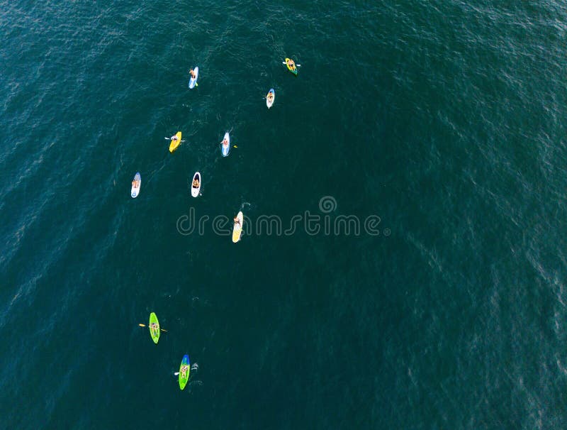 A Group of Young People are Floating on the Sea on SUP Boards Using ...