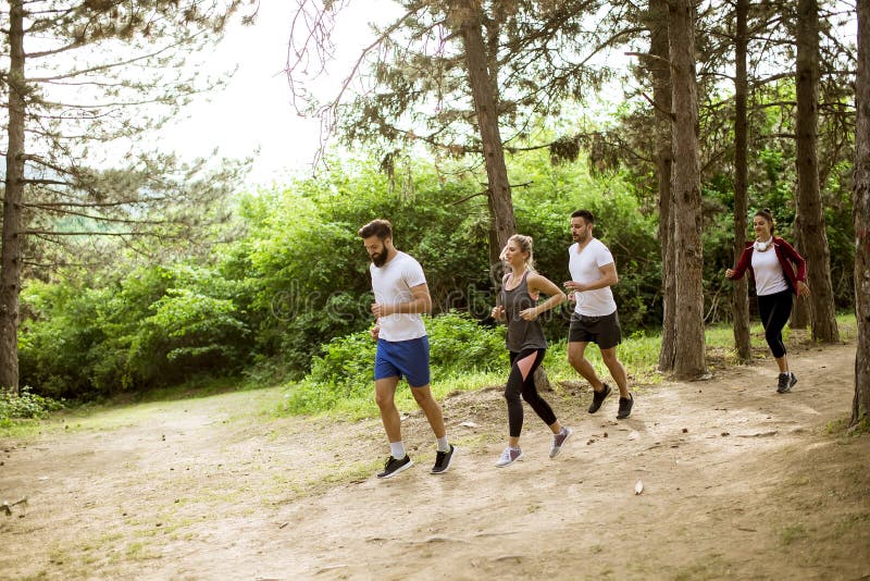 Group of Young People Run a Marathon through the Forest Stock Image ...