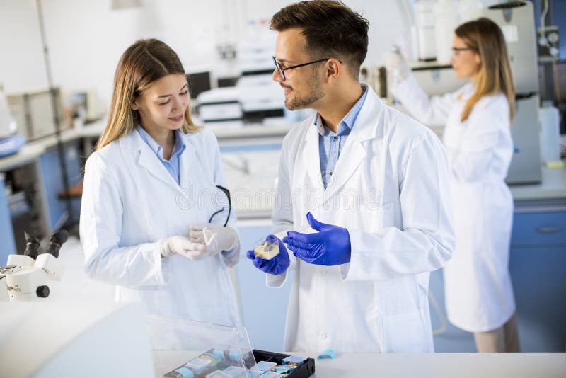 Group of Young Researchers Analyzing Chemical Data in the Laboratory ...