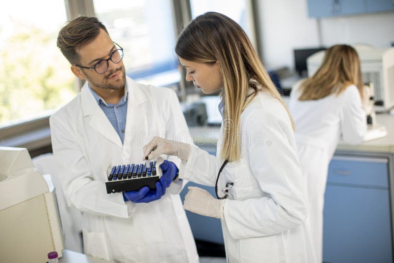 Group of Young Researchers Analyzing Chemical Data in the Laboratory ...
