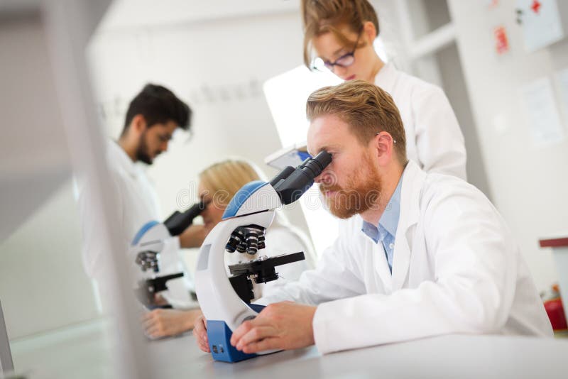 Group of Students Working at the Laboratory Stock Photo - Image of ...