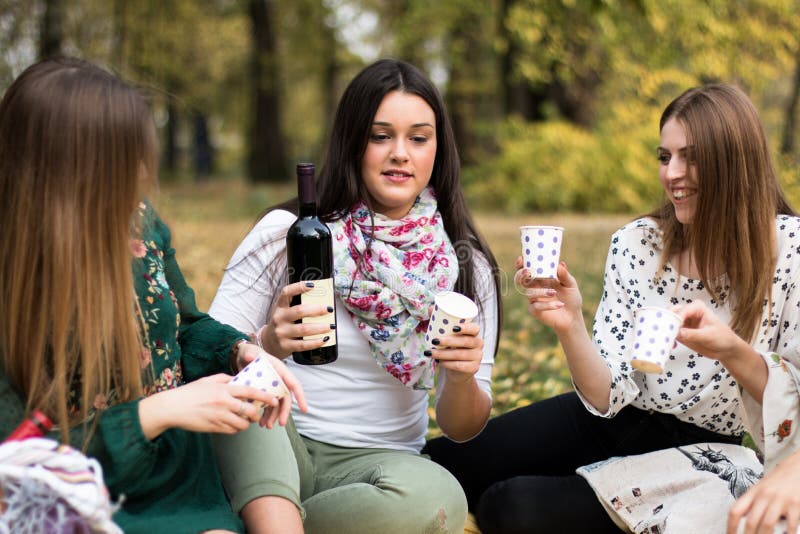 Group of Young Women Out on a Fun Picnic in the Park Stock Image ...