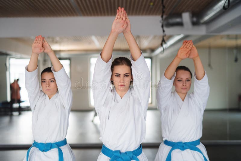 Group of Young Women Practising Karate Indoors in Gym. Stock Image ...
