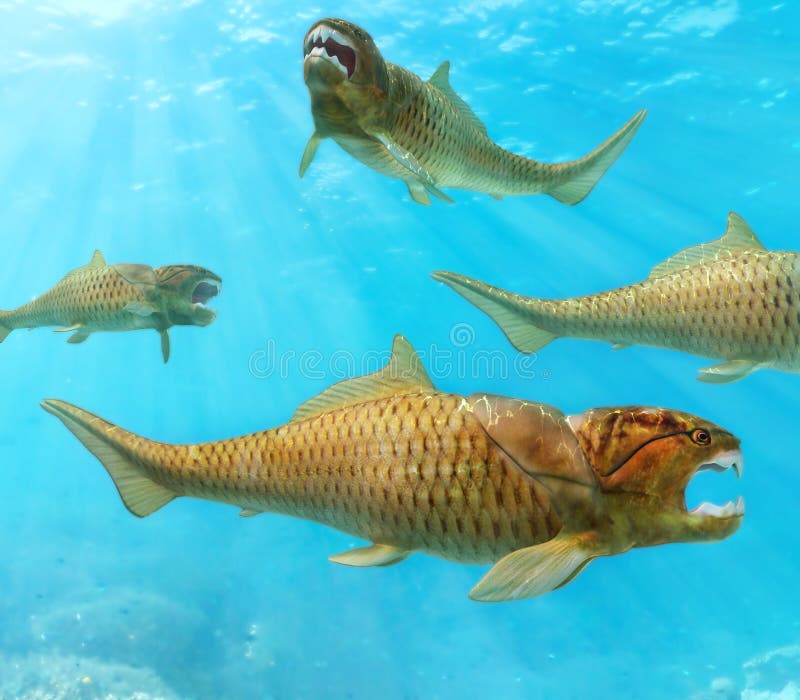 Entourer Stock Illustrations, Vecteurs, & Clipart – (4,917 Stock ...