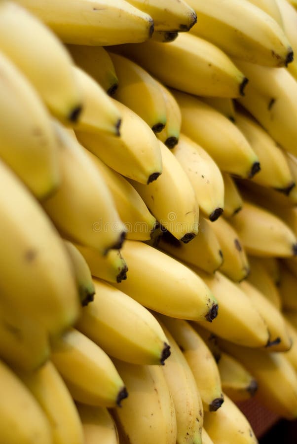 Groupe De Bananes Sur Un Arbre Dans Le Jardin. Image stock - Image du ...
