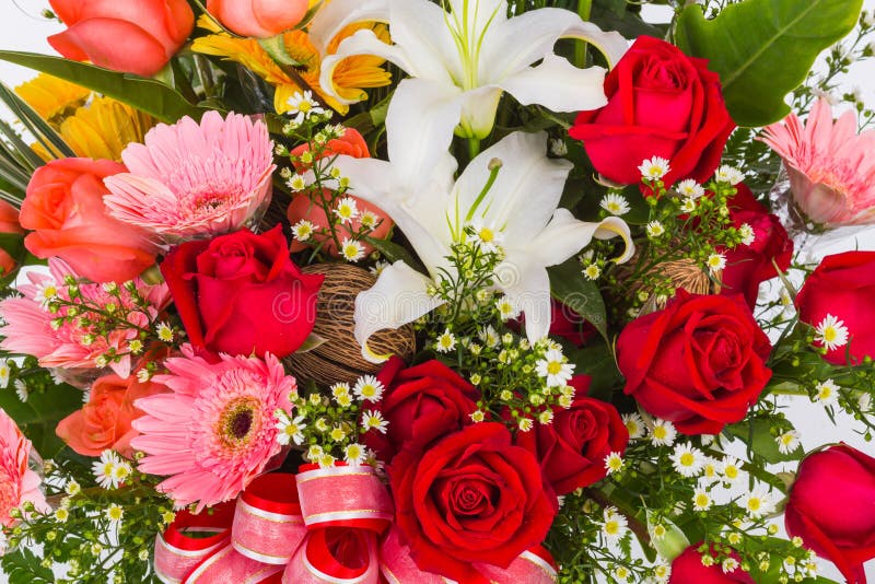 Groupe de fleurs coloré image stock. Image du beau, chance - 52997619