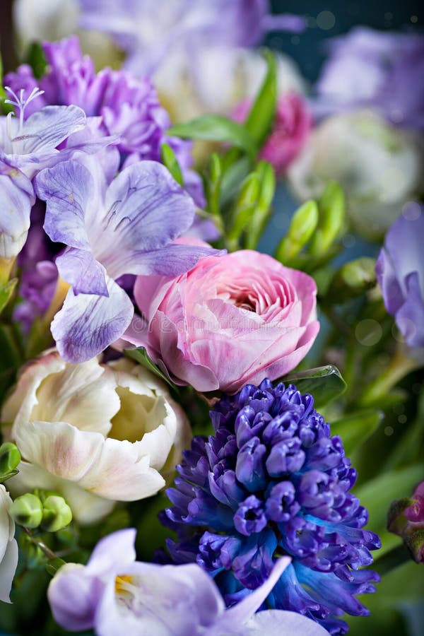 Groupe de fleurs de source photo stock. Image du cadeau - 22817846