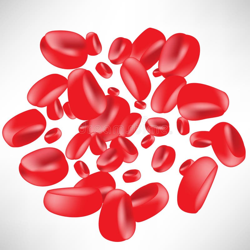 Structure De Vaisseaux Sanguins Veine Sur La Coupe Cellules Rouges Et ...