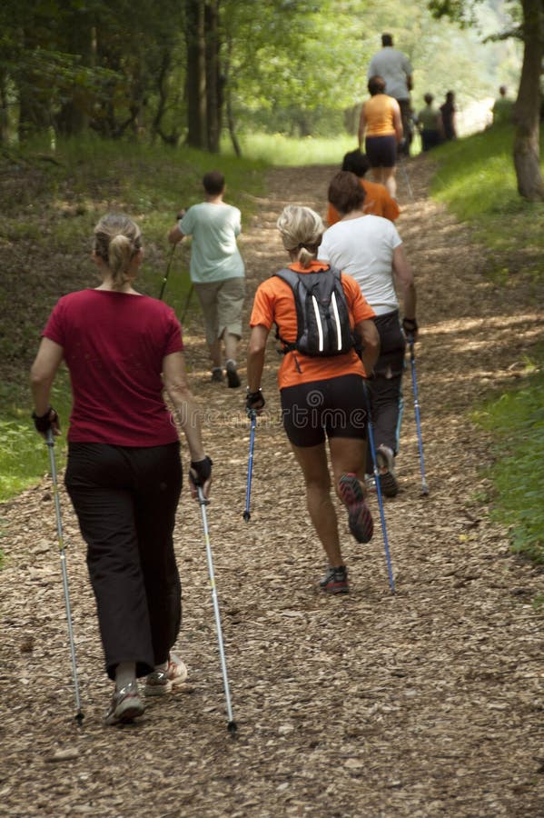 Marche Nordique De Personnes Dans La Nature Photo stock - Image du ...