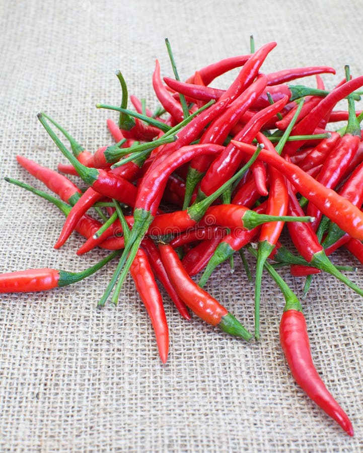 Groupe de piments rouges photo stock. Image du poivre - 35219536