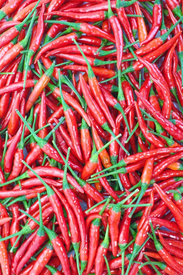 Groupe de piments rouges image stock. Image du groupe - 34235657