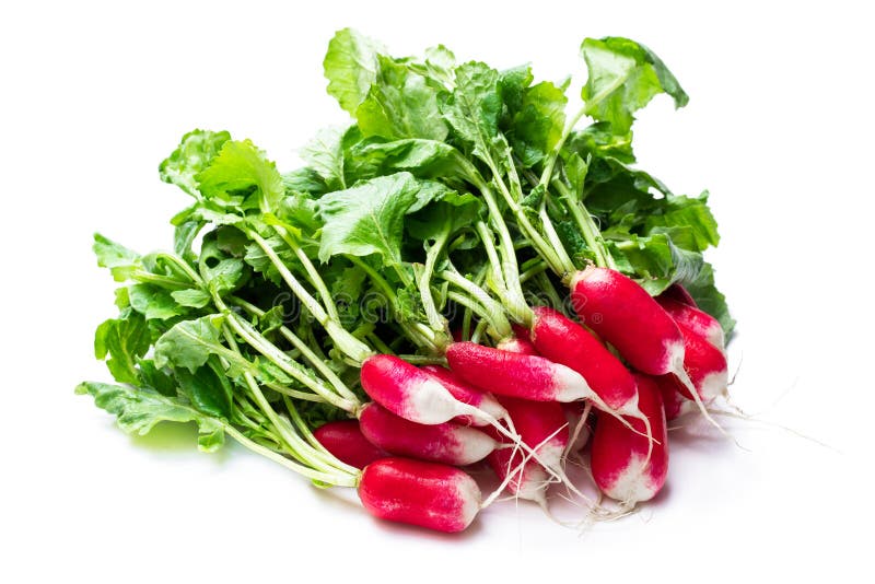 Long Radis Rouge Photos Stock - Téléchargez 428 Photos libres de droits