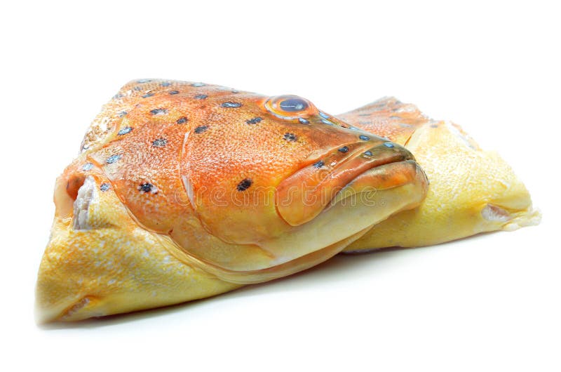 Grouper Fish Head on White Background Stock Image - Image of delicious ...