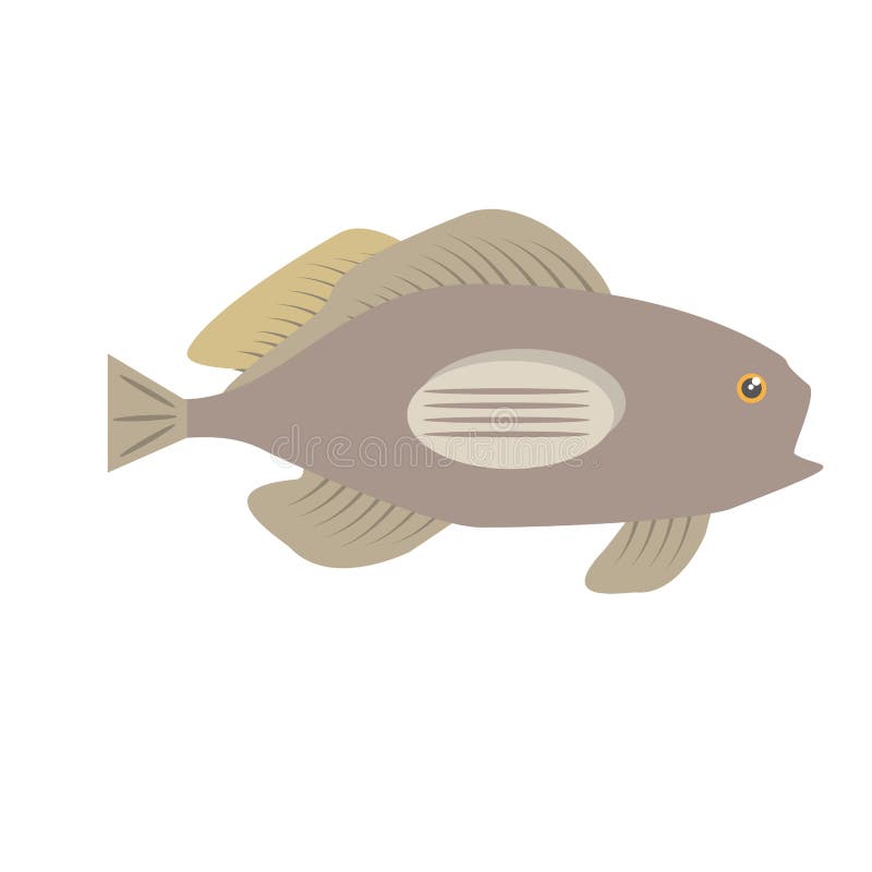 Fish Side View Vector Icon Sea Animal Illustration. Underwater Cartoon ...