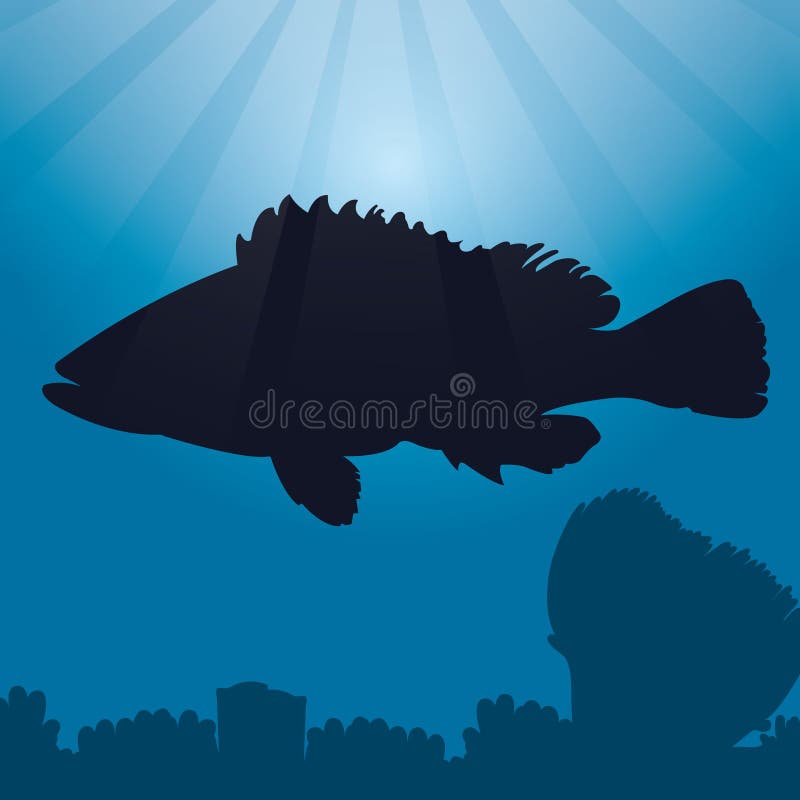Grouper Fish Silhouette. Vector Illustration Decorative Design Stock ...