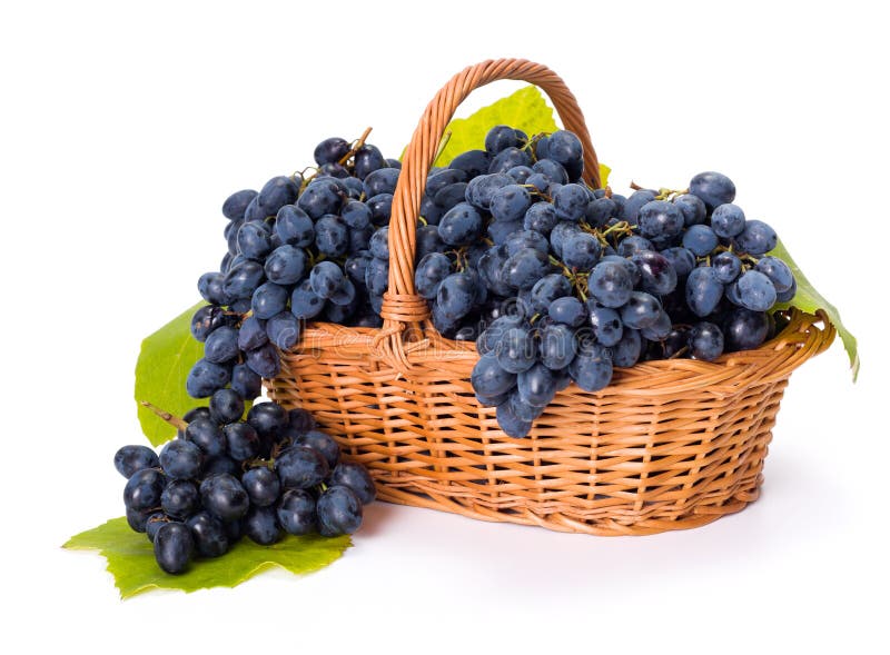 Groupes Bleus De Raisin Dans Le Panier Image stock - Image du sorts ...