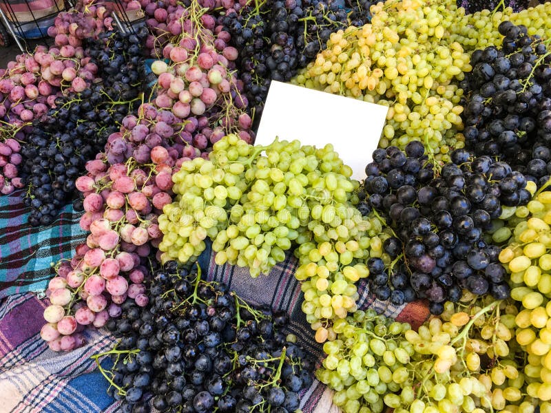 Groupes De Raisin, Grain De Raisin Image stock - Image du agriculture ...