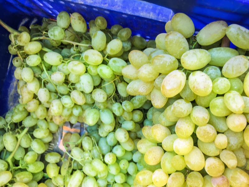 Groupes De Raisin, Grain De Raisin Photo stock - Image du groupe ...