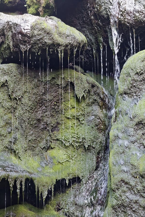 Drizzling Water Sprinkling At Park In The Evening Stock Image - Image ...