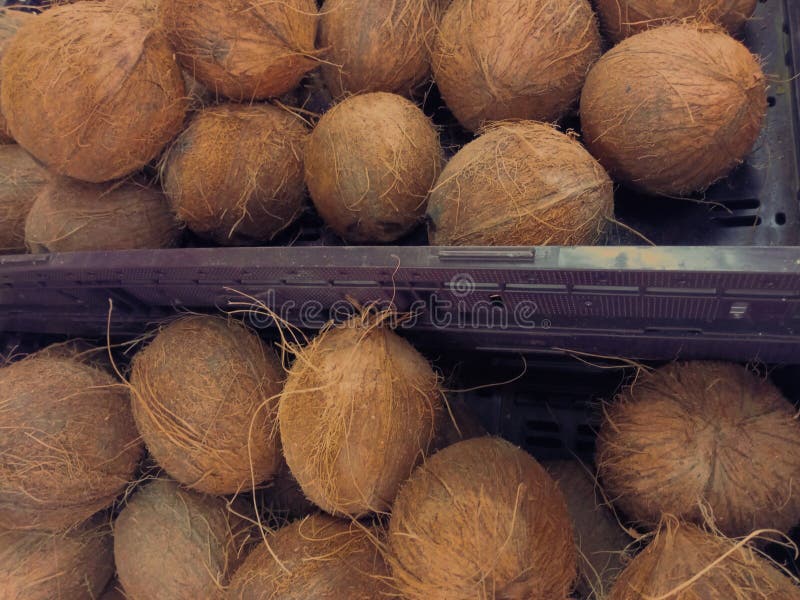 Coconuts in box stock photo. Image of plastic, abundance - 167982332
