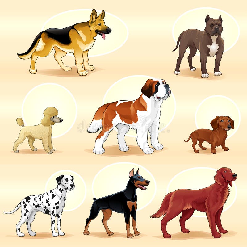 Groups of dog. stock vector. Illustration of bernard - 34718115