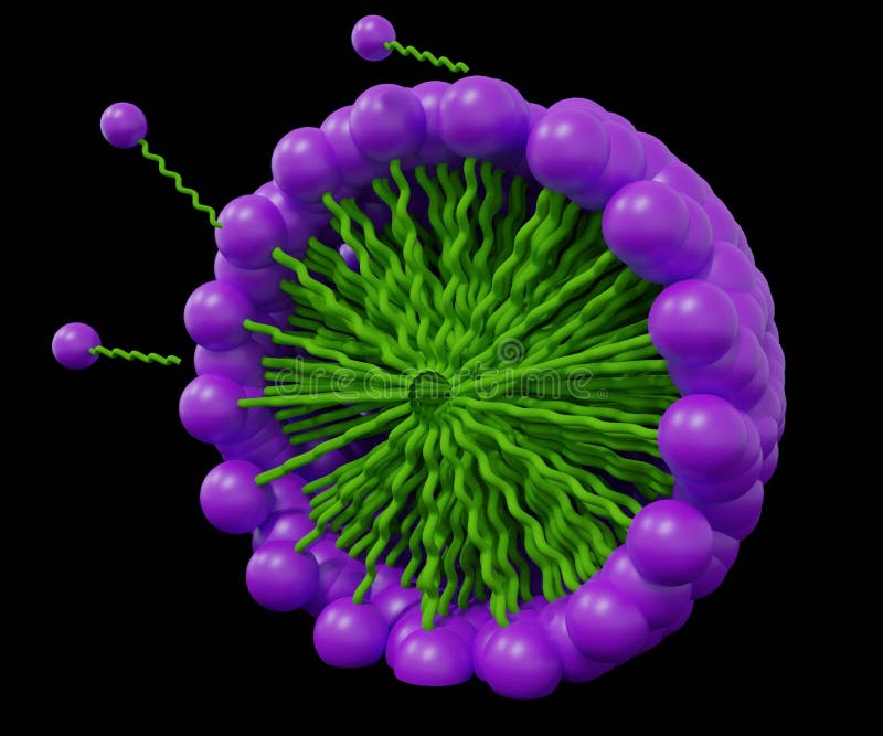 Detergent Formation Stock Illustrations – 90 Detergent Formation Stock ...