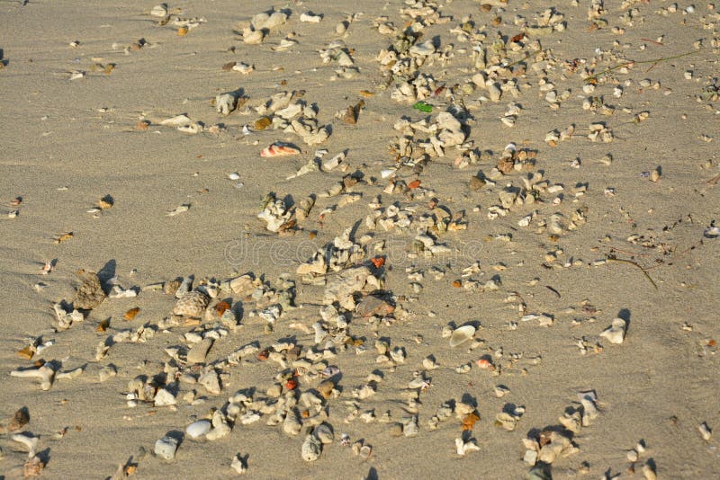 Groups of Small Stones on the Beach Stock Image - Image of flowing ...