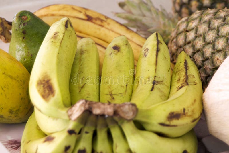 Groups of Tropical Fruits in Ghana Stock Image - Image of group, fresh ...