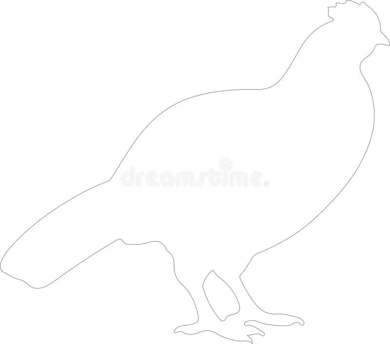 Grouse Outline Silhouette Generative Ai Stock Vector - Illustration of ...