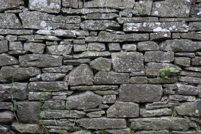 Groutless Brick1 stock photo. Image of build, natural - 10571324