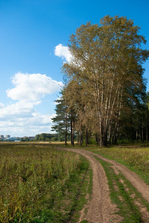 Grove on city suburb stock photo. Image of rural, summer - 32143584