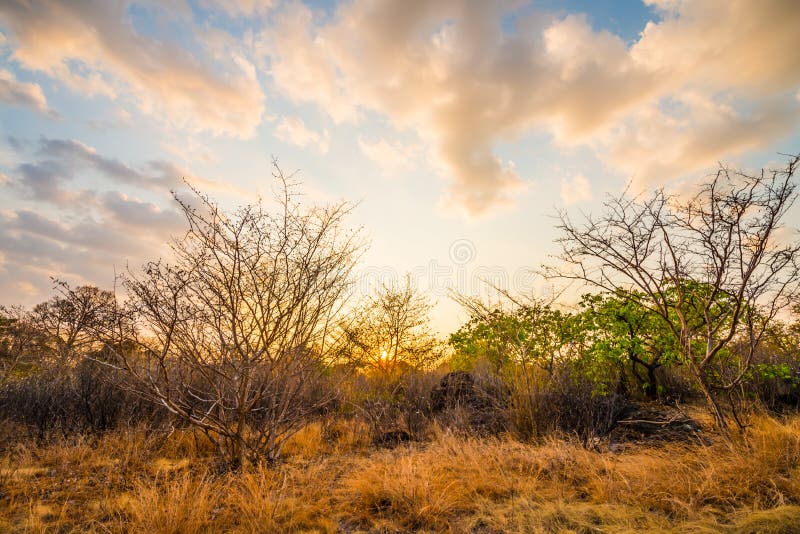 On limestone hills.29 stock photo. Image of tourism - 226807632