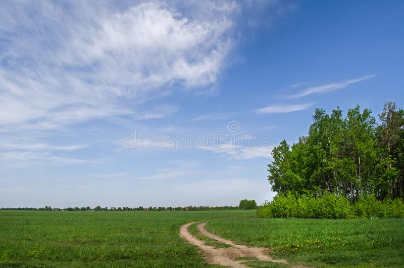 Grove at the Edge of the Field Stock Image - Image of panorama ...