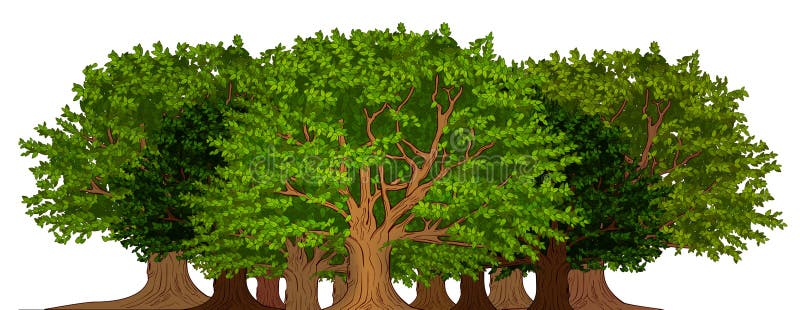 Grove of trees stock illustration. Illustration of massive - 22069047
