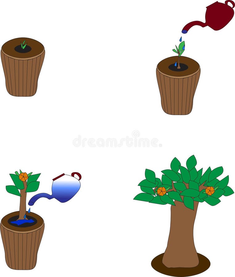 Grow of Plants into Tree with a Simple Vector Stock Vector ...