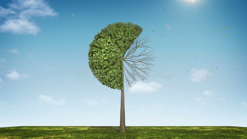 Grow Tree Shape Pie Chart. Indicated 60 Percents. Green Icon. Stock ...