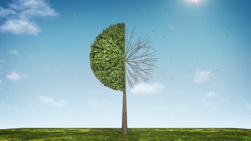 Grow Tree Shape Pie Chart. Indicated 50 Percents. Green Icon. Stock ...